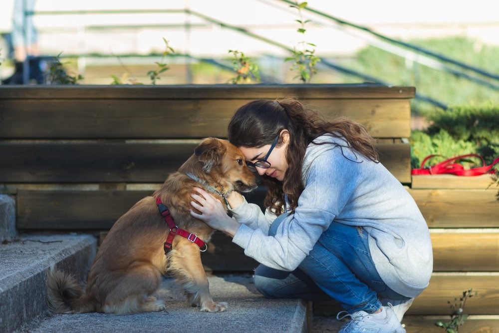 Understanding Dog Reactivity Towards Other Animals: A Comprehensive Gu ...
